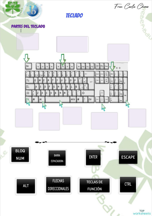 TECLADO - PARTES. Ficha interactiva | TopWorksheets