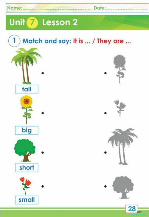 Match and say - M6- plants around me. Interactive worksheet | TopWorksheets