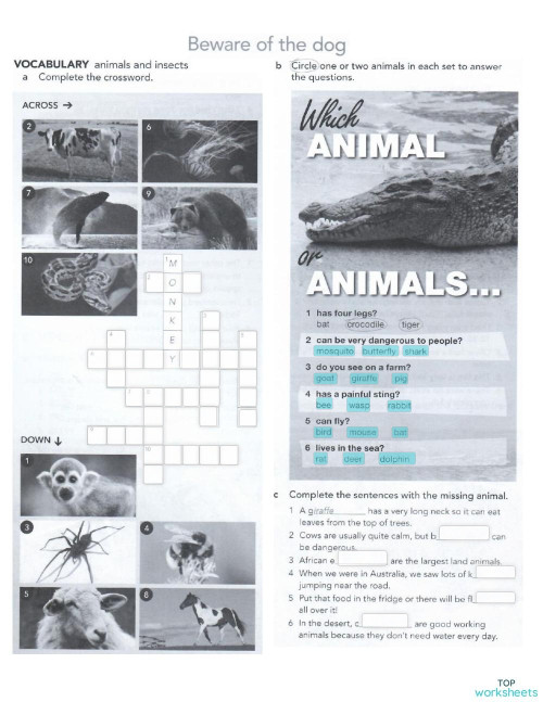 BEWARE OF THE DOG-THIRD TERM-EXC 1. Interactive worksheet | TopWorksheets