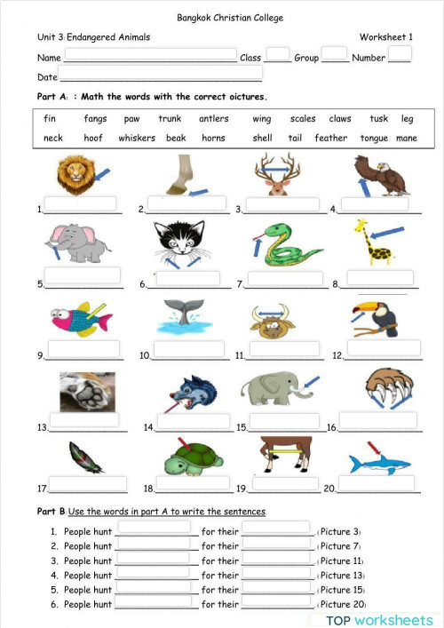 Unit 3 :ws1 Endangered Animals. Interactive worksheet | TopWorksheets