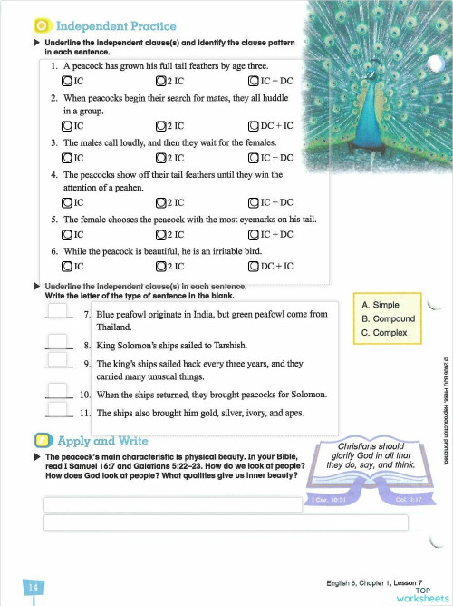 Complex Sentences: interactive worksheets and online exercises ...