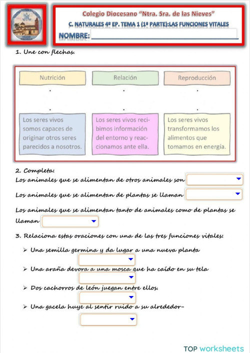 Tema 1. (1ª Parte). Las funciones vitales en los seres vivos.. Ficha ...