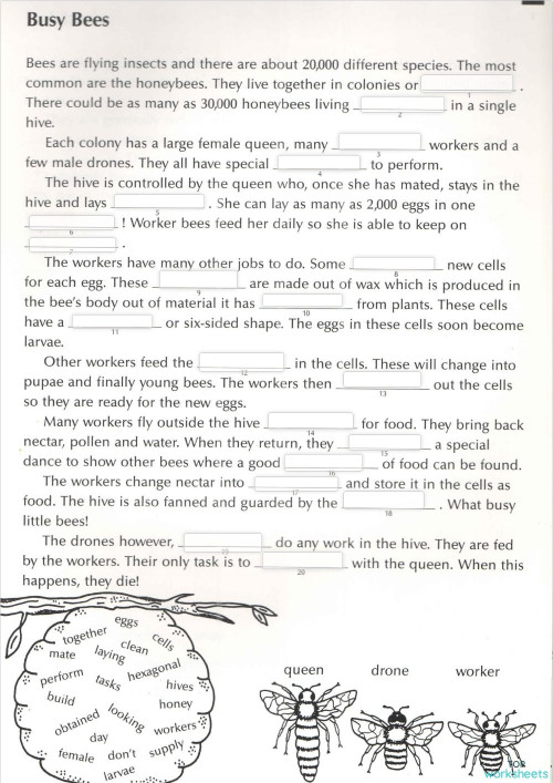 3. Busy Bees Cloze Passage. Interactive worksheet | TopWorksheets