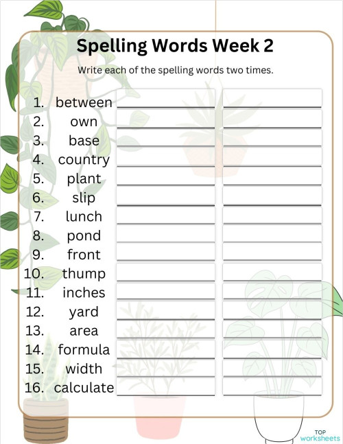 Spelling Words 2.1. Interactive worksheet | TopWorksheets