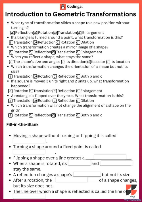 M_G05M22L59_WA02_Introduction_to_Geometric_Transformations_4. Interactive worksheet | TopWorksheets