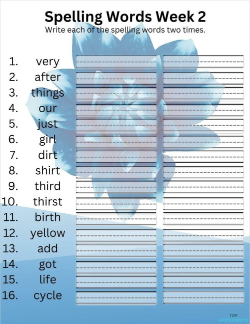 Spelling Words 4.1. Interactive worksheet | TopWorksheets