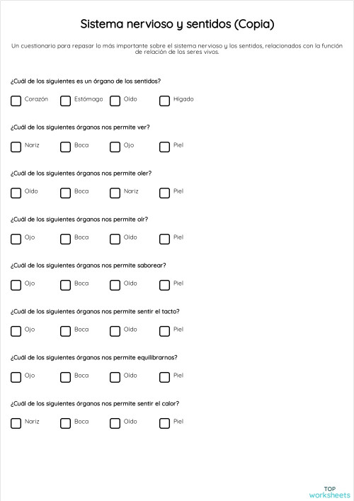 Sistema nervioso y sentidos (Copia). Ficha interactiva | TopWorksheets