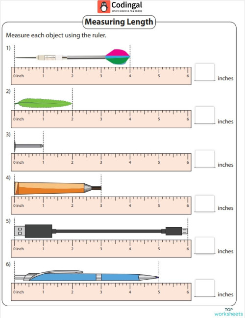 M_G03M23L50_WE02_Measuring_Length_Using_Rulers_and_Tapes_6. Interactive ...