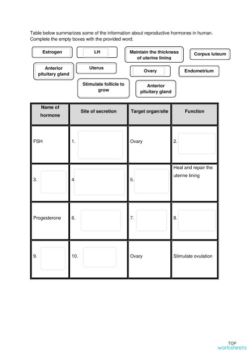 Reproductive Hormones in Female. Interactive worksheet | TopWorksheets