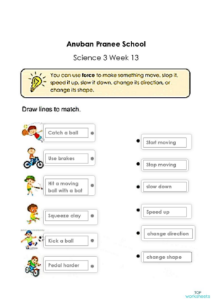 Science week 13. Interactive worksheet | TopWorksheets