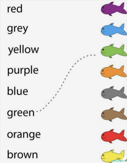 Match the right answer. Interactive worksheet | TopWorksheets