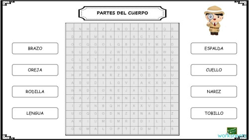 Sopa De Letras Partes Del Cuerpo