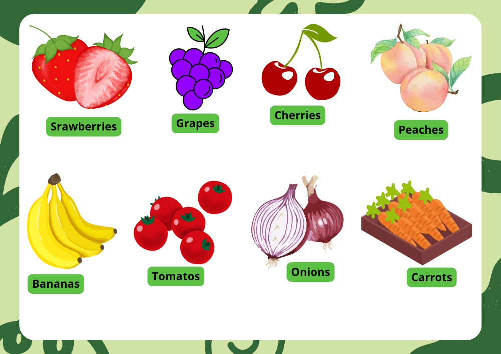 Study Guide - 3rd Grade. Interactive worksheet | TopWorksheets