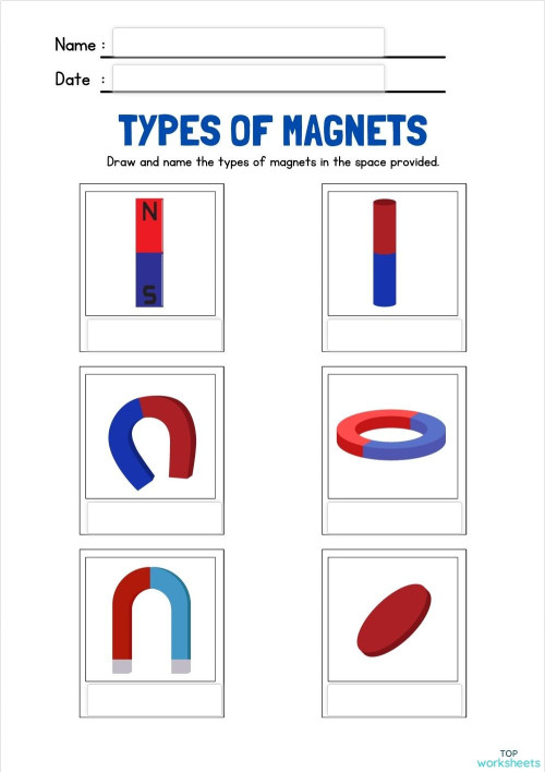 types of magnets. Interactive worksheet | TopWorksheets