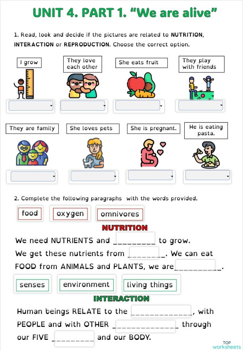 WE ARE ALIVE (by Ana Silva). Interactive worksheet | TopWorksheets