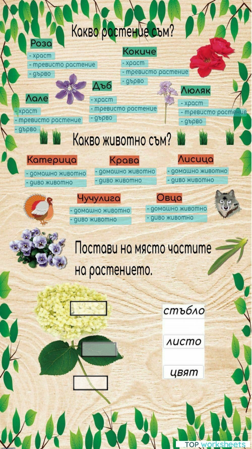 Interactive worksheets and online exercises in bulgarian | TopWorksheets