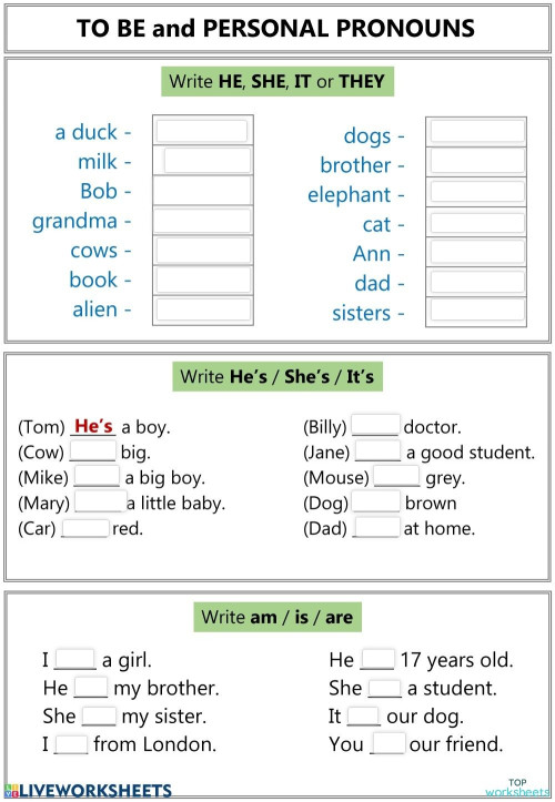 10 Verb to be affirmative. Interactive worksheet | TopWorksheets