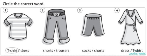 STARTERS READING AND WRITING PART 4. Interactive worksheet | TopWorksheets