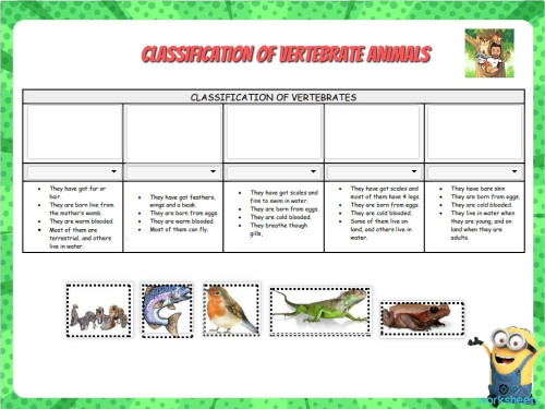 Classification of vertebrate animals. Interactive worksheet | TopWorksheets