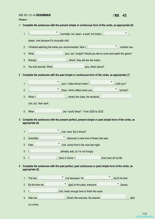 BIE B1 U1-4 Grammar test 2 (no linking). Interactive worksheet ...