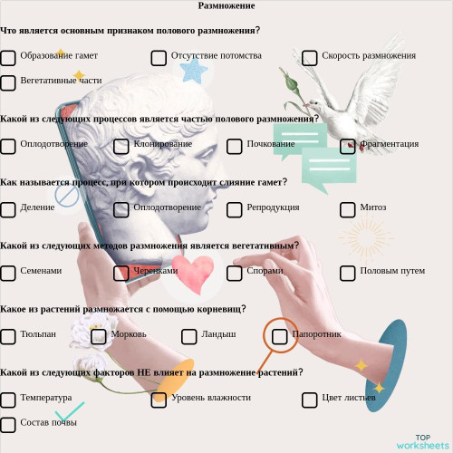 Interactive worksheets and online exercises in Russia | TopWorksheets