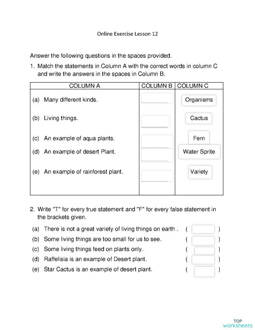 Online exercise lesson 12. Interactive worksheet | TopWorksheets