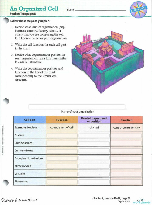 Lesson 48: An Organized Cell Pg 63. Interactive worksheet | TopWorksheets
