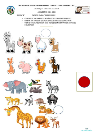 ALY CONOCE A LOS ANIMALES DOMÉSTICOS. Ficha interactiva | TopWorksheets