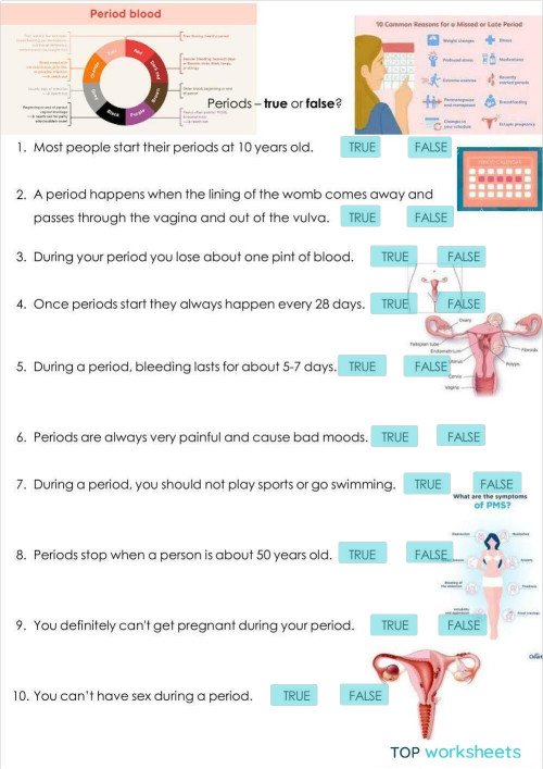 Period. Interactive worksheet | TopWorksheets
