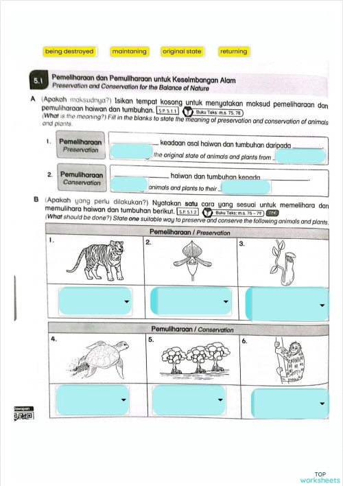 Science DLP Yr6-5. Interactive worksheet | TopWorksheets