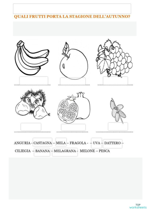 prova corso gamification. Scheda interattiva | TopWorksheets