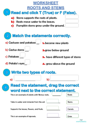 Stems and roots classwork. Interactive worksheet | TopWorksheets