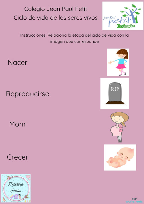 Ciclo de vida de los seres vivos. Ficha interactiva | TopWorksheets