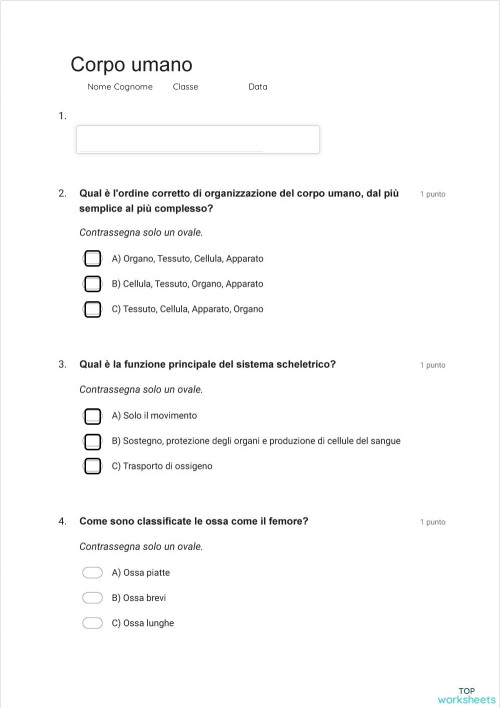 Test attenzione Corpo umano. Scheda interattiva | TopWorksheets