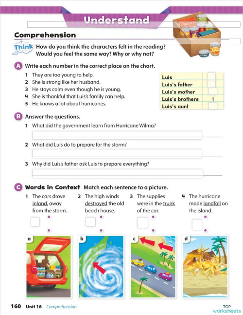 OD4 16 SB 160 Understand. Interactive worksheet | TopWorksheets