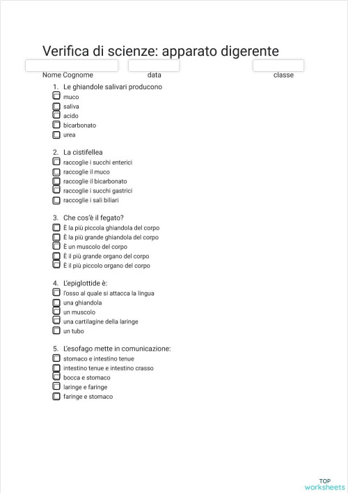 Verifica sull'apparato tegumentario. Scheda interattiva | TopWorksheets