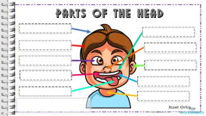 Parts of the head Practice. Interactive worksheet | TopWorksheets
