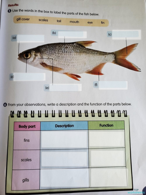 Science workbook Pg 13-17. Interactive worksheet | TopWorksheets