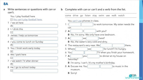 8A beginner grammar bank. Interactive worksheet | TopWorksheets