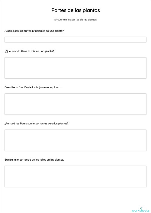 Partes de las plantas. Ficha interactiva | TopWorksheets
