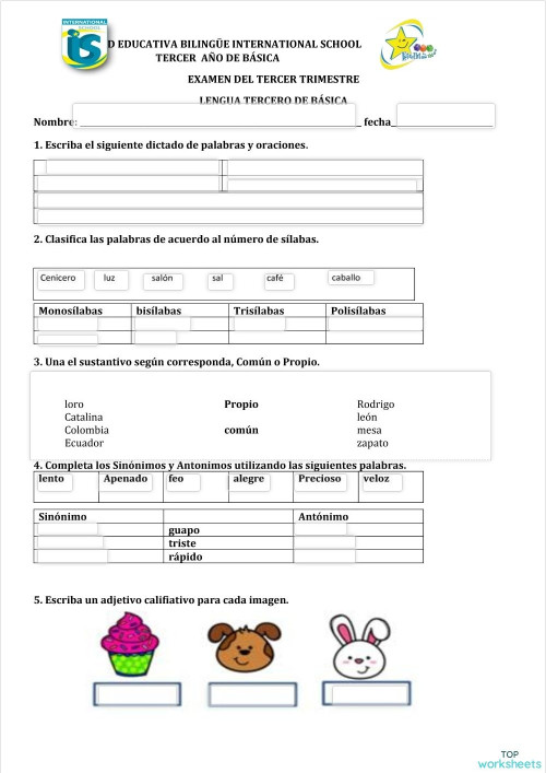Gramatica: fichas interactivas y ejercicios online | TopWorksheets
