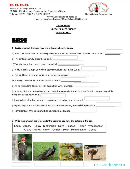 Birds test. Interactive worksheet | TopWorksheets