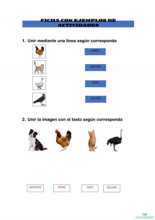 relacionar elementos. Ficha interactiva | TopWorksheets