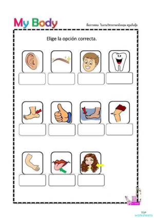 MY BODY PARTS. Ficha interactiva | TopWorksheets