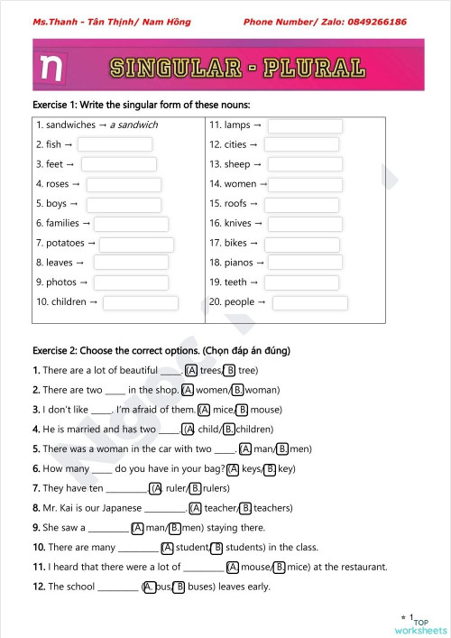 Plural nouns - Practice for gifted Ss. Interactive worksheet ...