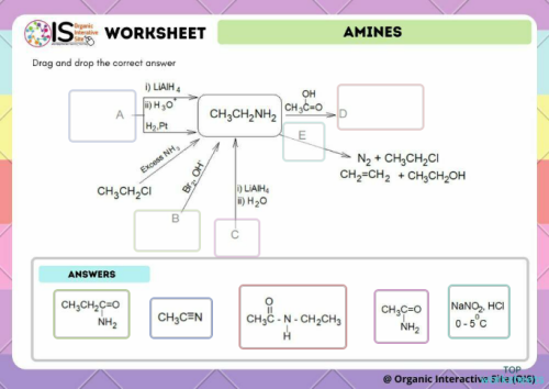 AMINES COMPOUND. Interactive worksheet | TopWorksheets
