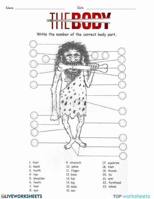 The caveman's body. Interactive worksheet | TopWorksheets
