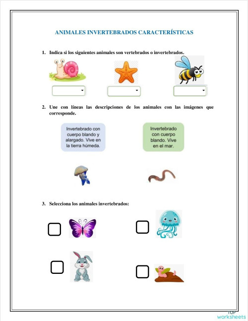ANIMALES INVERTEBRADOS. Ficha interactiva | TopWorksheets