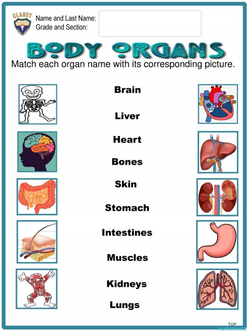 6th. Grade Vocab. Unit 1. Pract. Act.. Interactive worksheet ...
