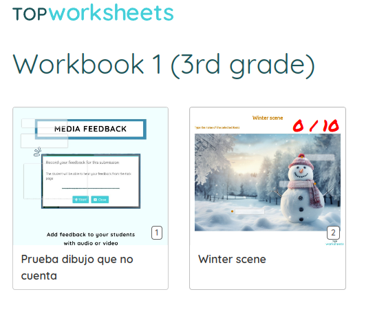 Help on How to use My workbooks | TopWorksheets